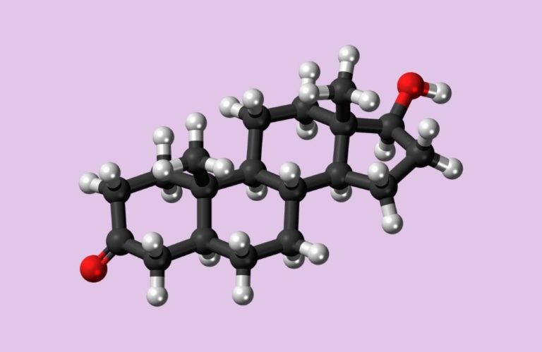 13 Natural DHT Blocker Foods That May Stop Hair Loss