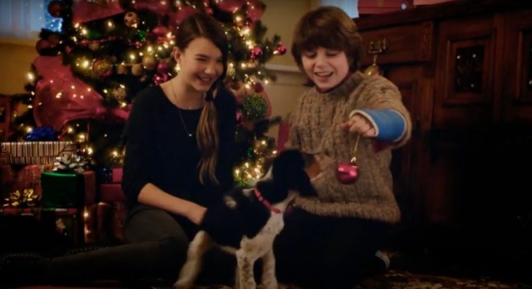 11 Heartwarming Dog Christmas Movies To Watch This Season