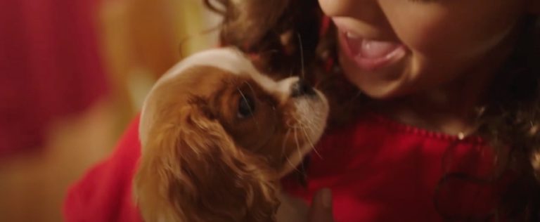 11 Heartwarming Dog Christmas Movies To Watch This Season