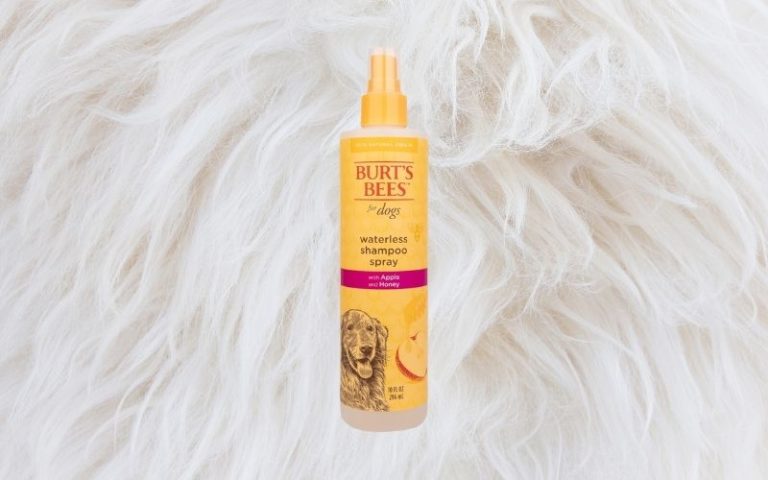 9 Best Waterless Shampoos For Dogs